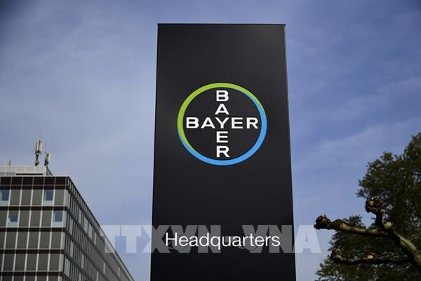 Công ty dược phẩm Bayer hạ triển vọng doanh thu năm 2023