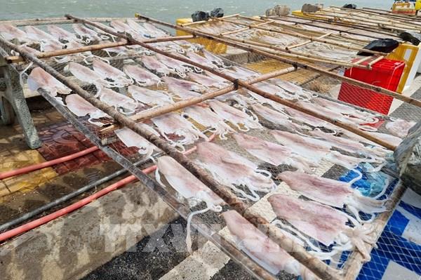 Giá nhiều mặt hàng hải sản khô tại Ninh Thuận tăng cao