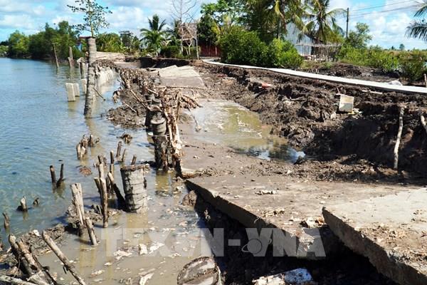 Nguy cơ cô lập nhiều khu vực do vụ sụt lún Đê tiểu vùng X - Nam Cà Mau